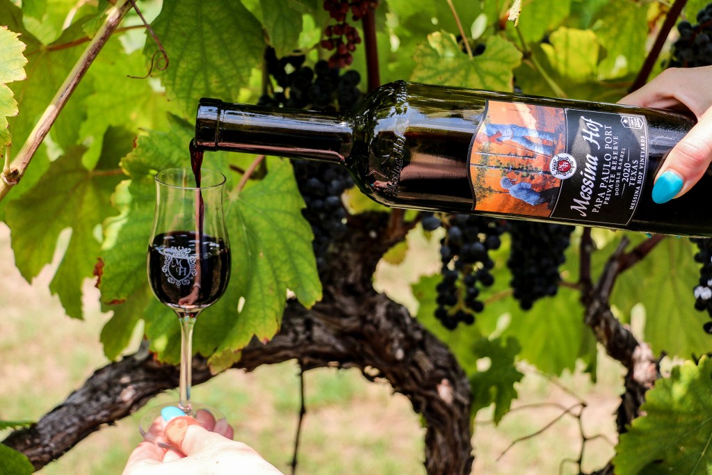 "A Tribute to the Winemaker" - About the Papa Paulo Port Label ...